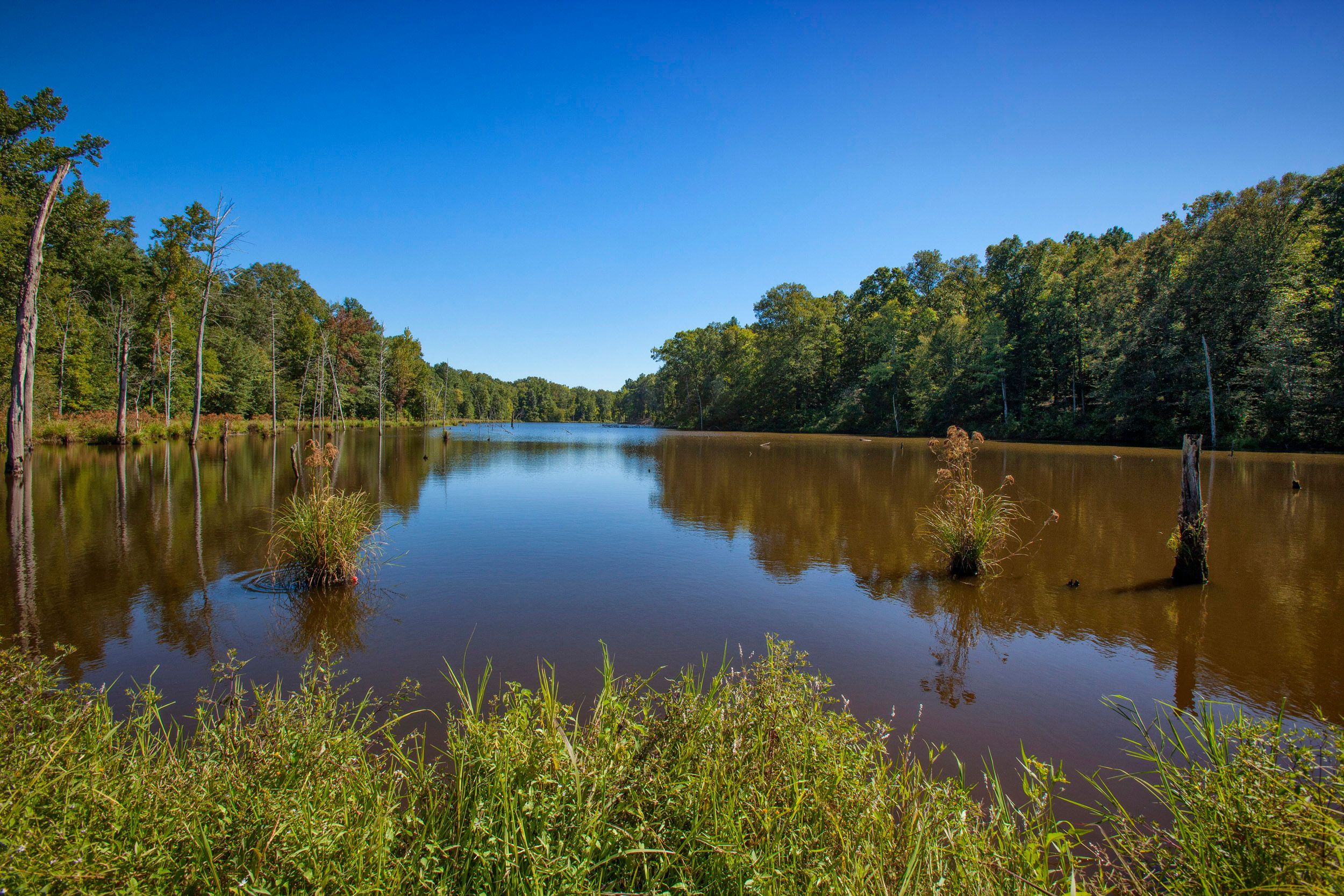 2771 Alton King Road, Goldston, NC 27252 | LandWatch