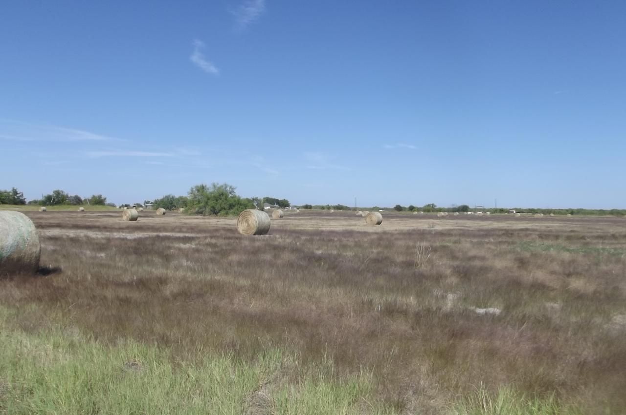 5479 HWY 175, Kaufman, TX 75142 | LandWatch