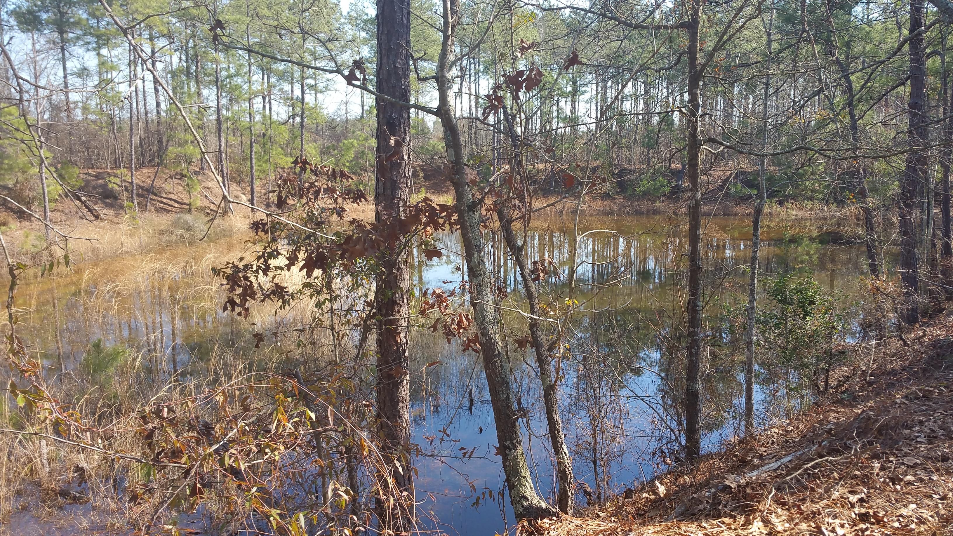 White Pond Road, Williston, SC 29853 | LandWatch
