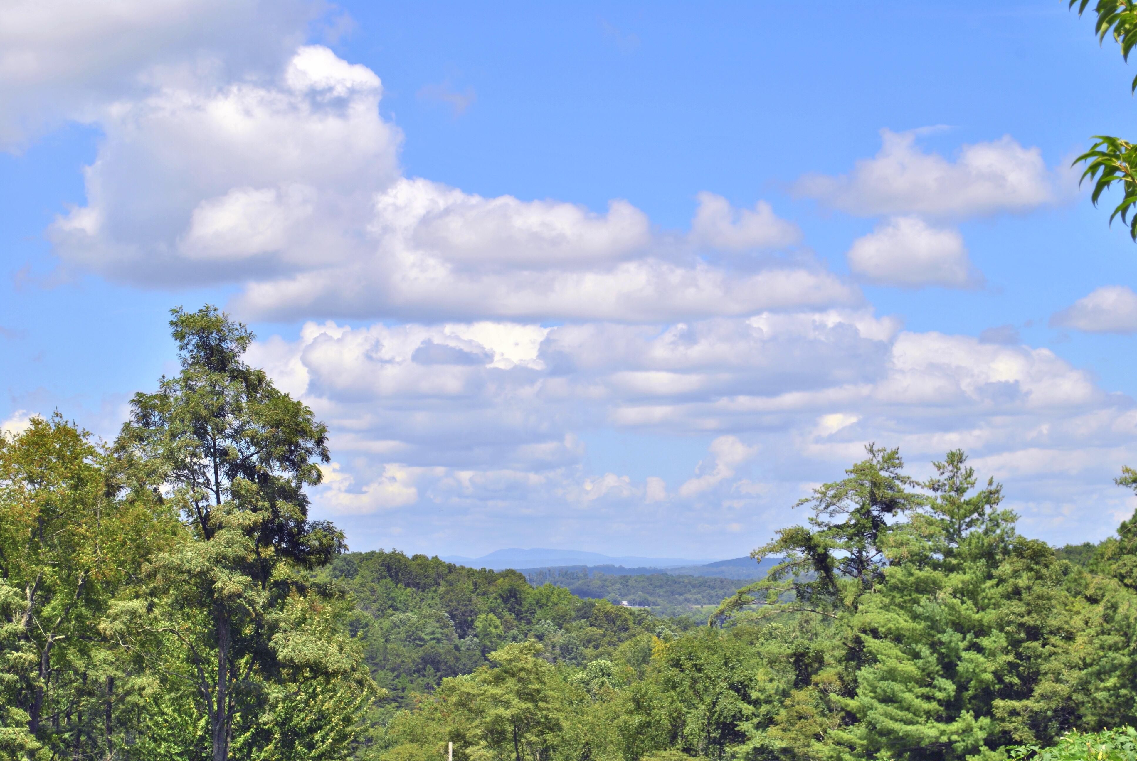5855 Blue Springs Road, Hiwassee, VA 24347 | LandWatch