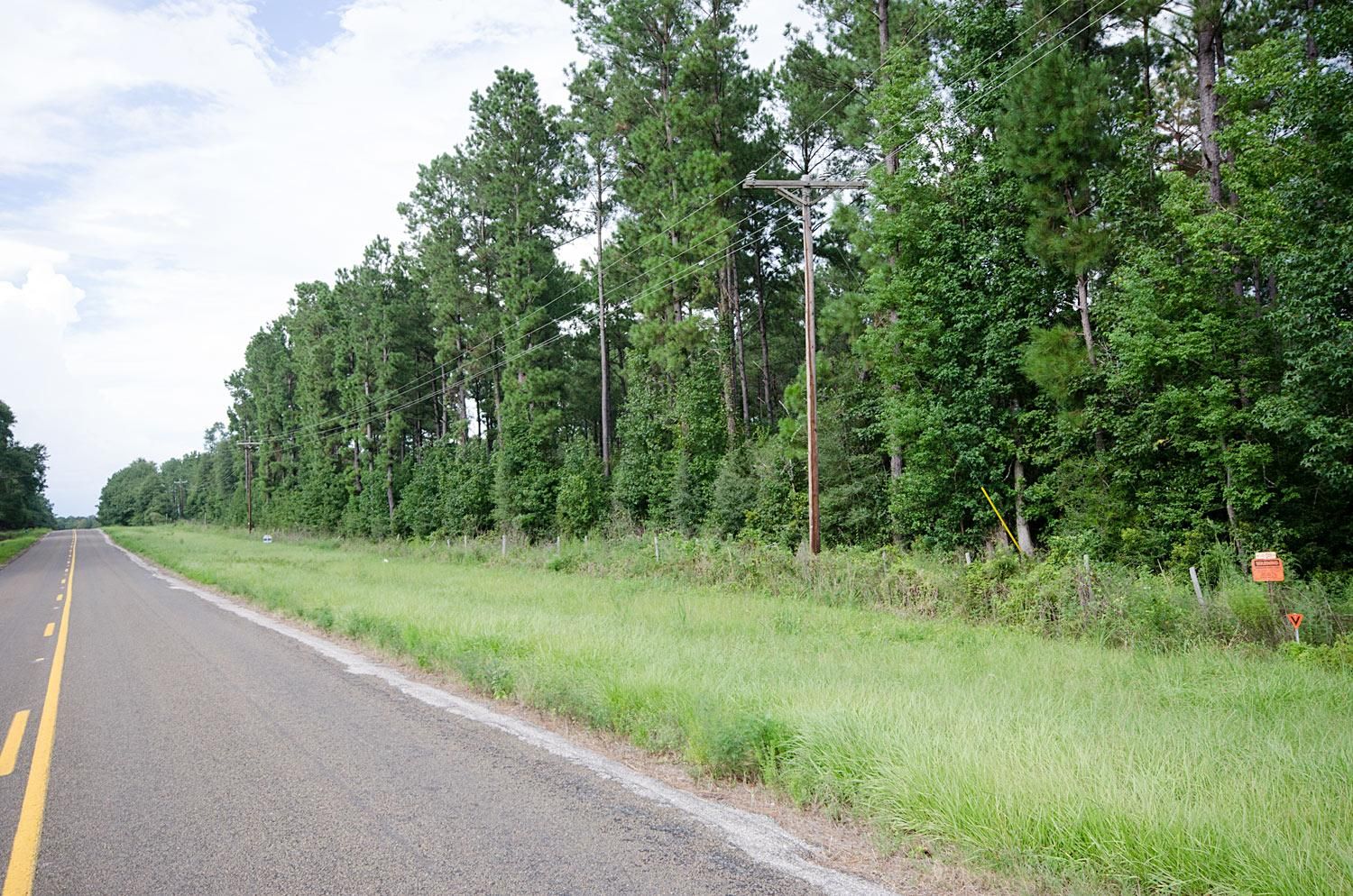 FM 2992, Spurger, TX 77660 | LandWatch