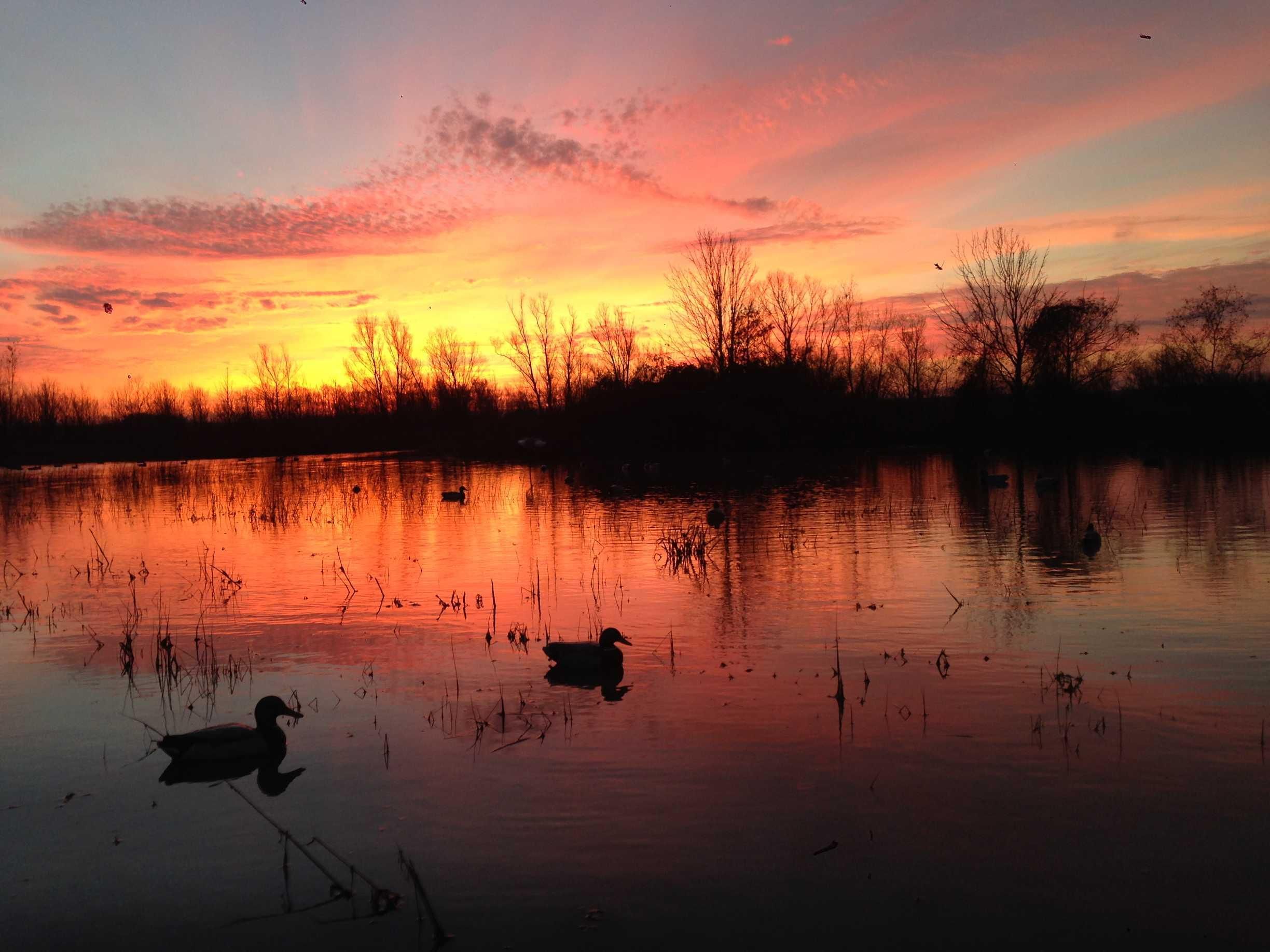 5020 German Road, Dumas, AR 71639 | LandWatch