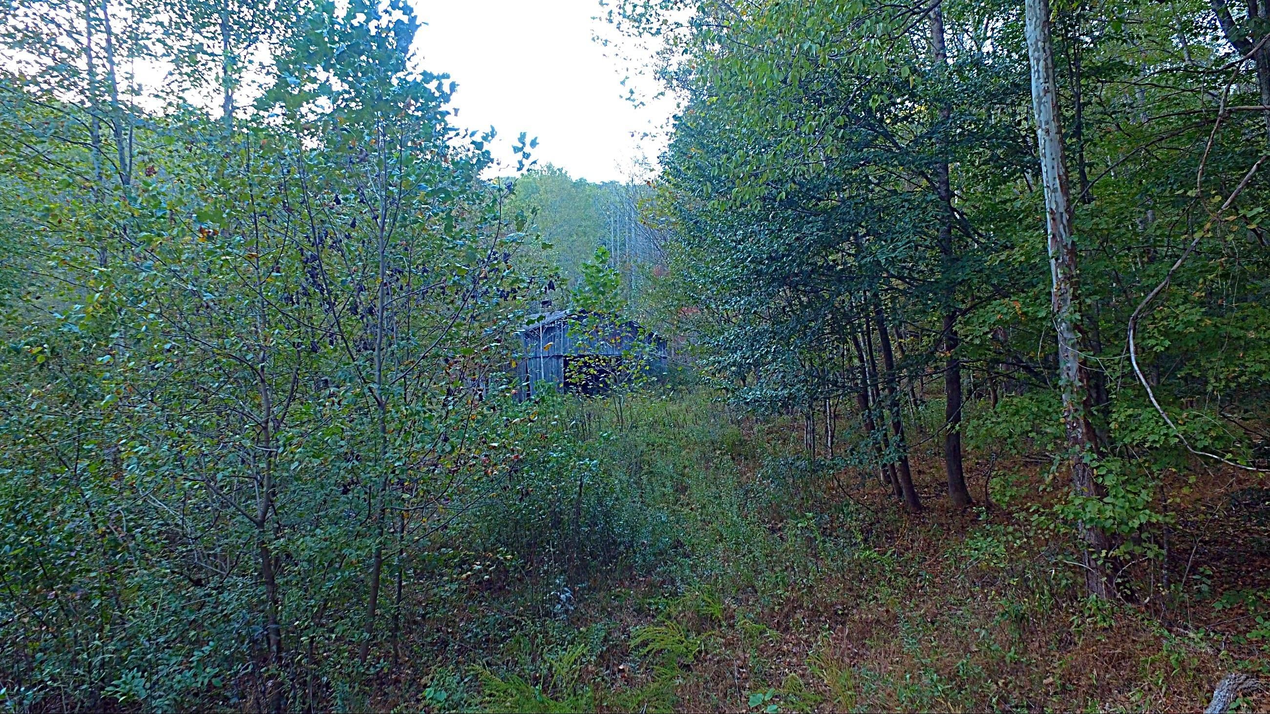 117 acres in Wallingford, KY, 41093 | LandWatch