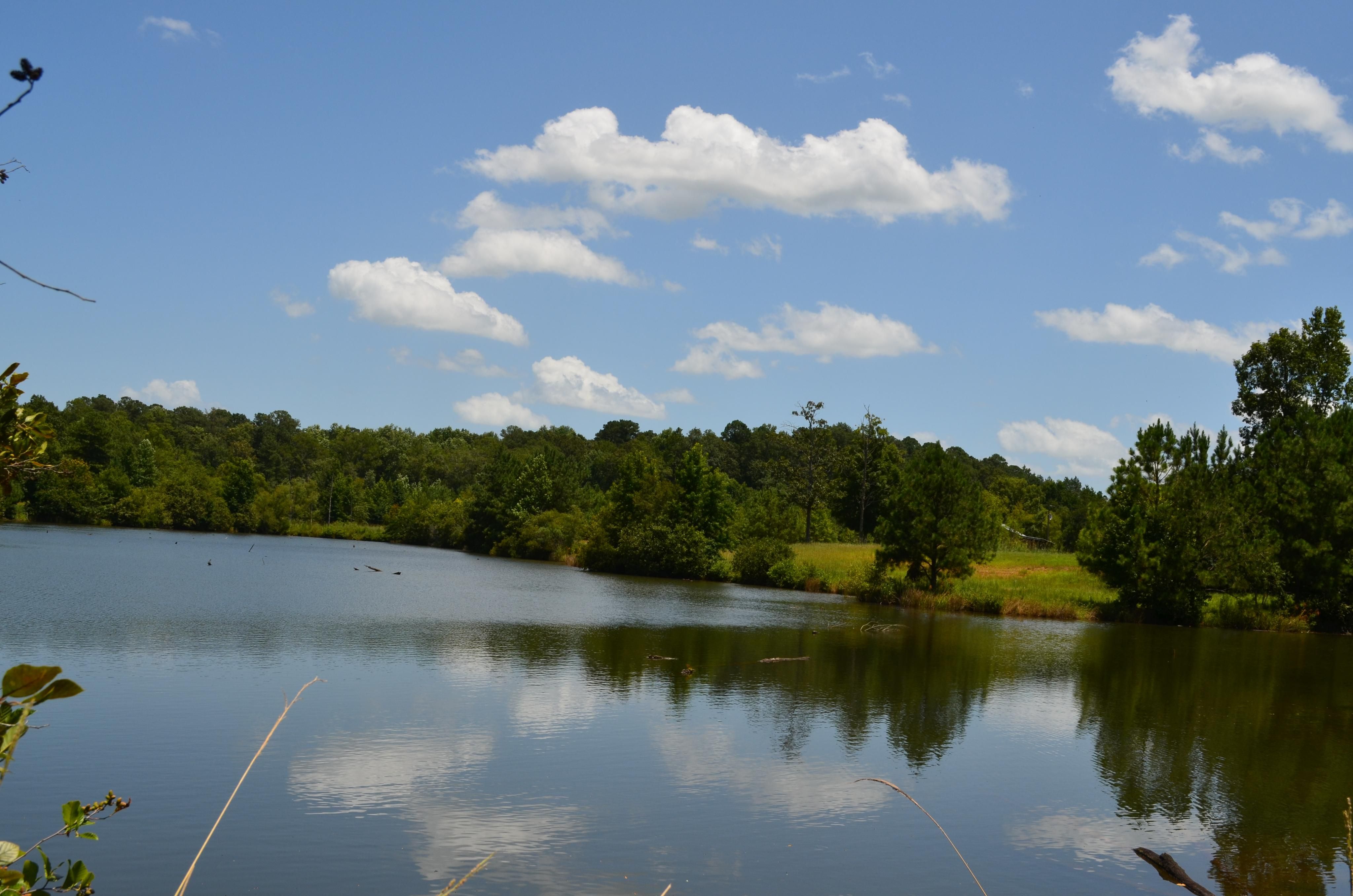 1792 County Road 6622, Banks, AL 36005 | LandWatch