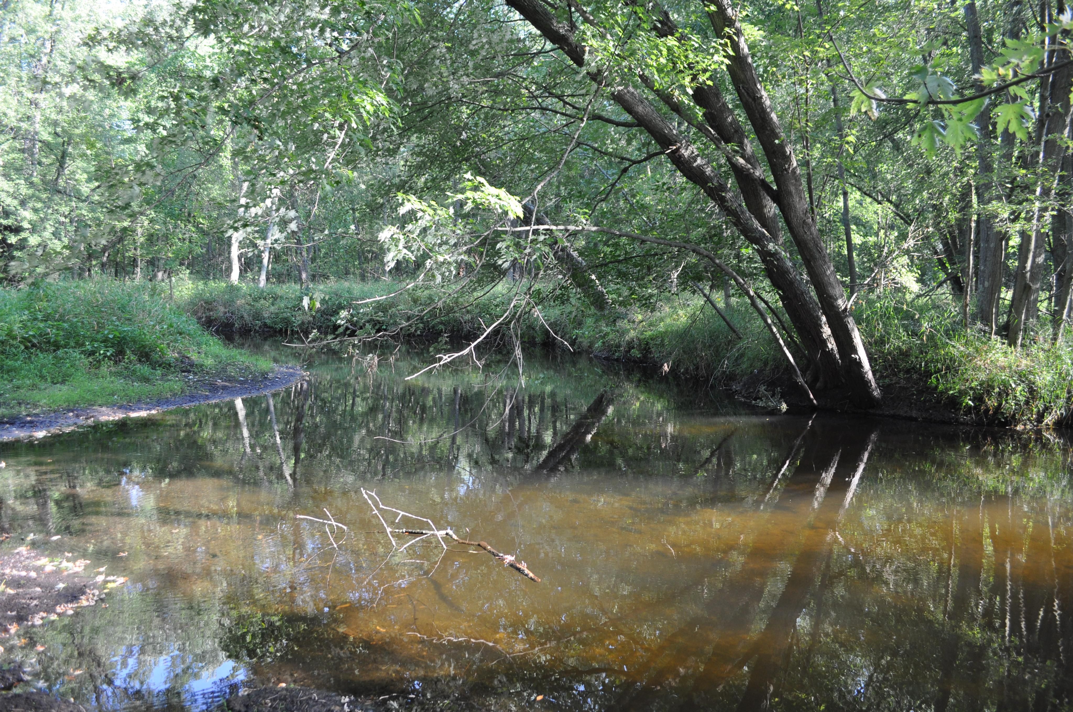 County Highway J, Tigerton, WI 54486 | MLS: 50160071 | LandWatch