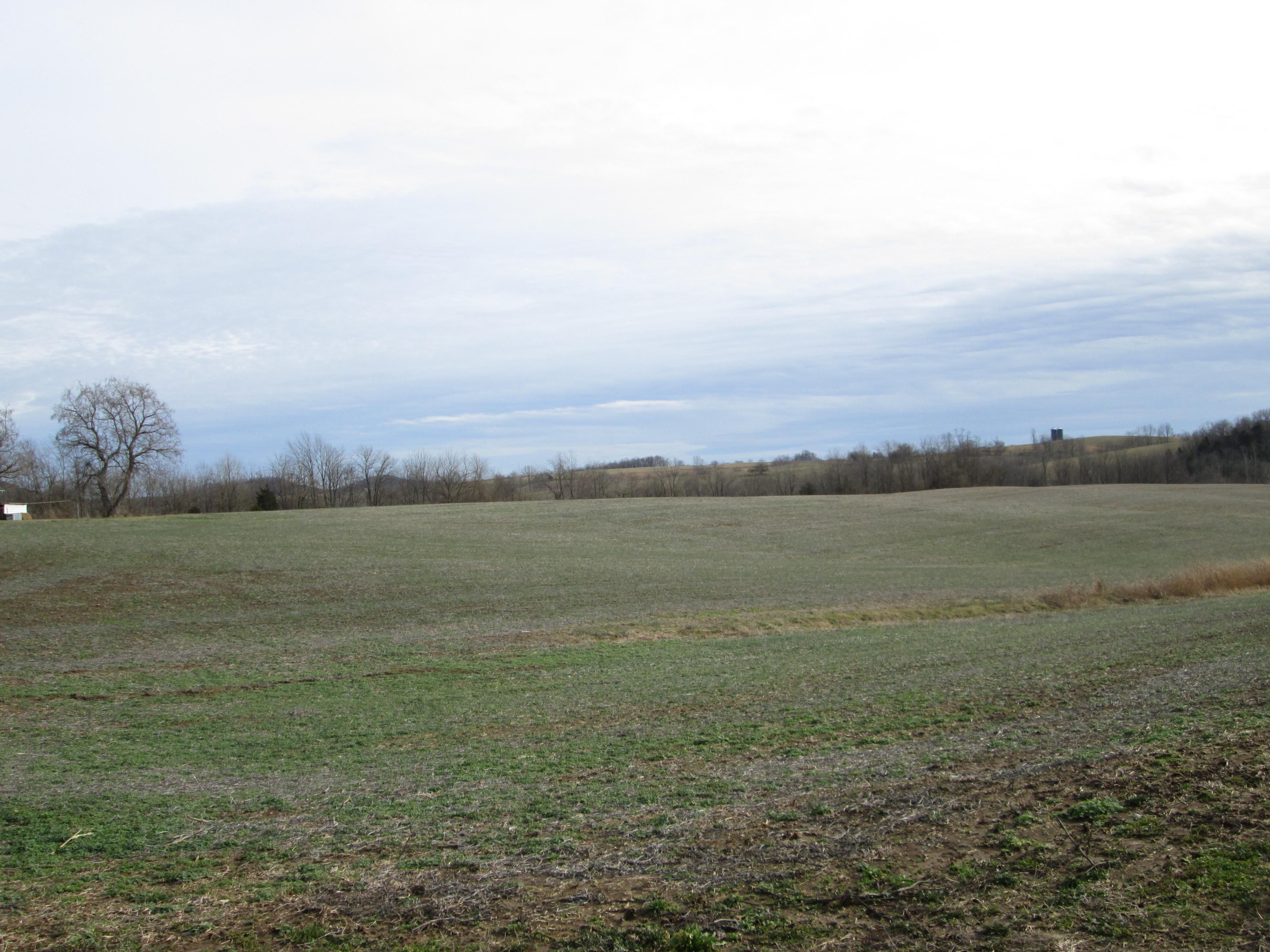 wallingford rd, Flemingsburg, KY 41041 | LandWatch