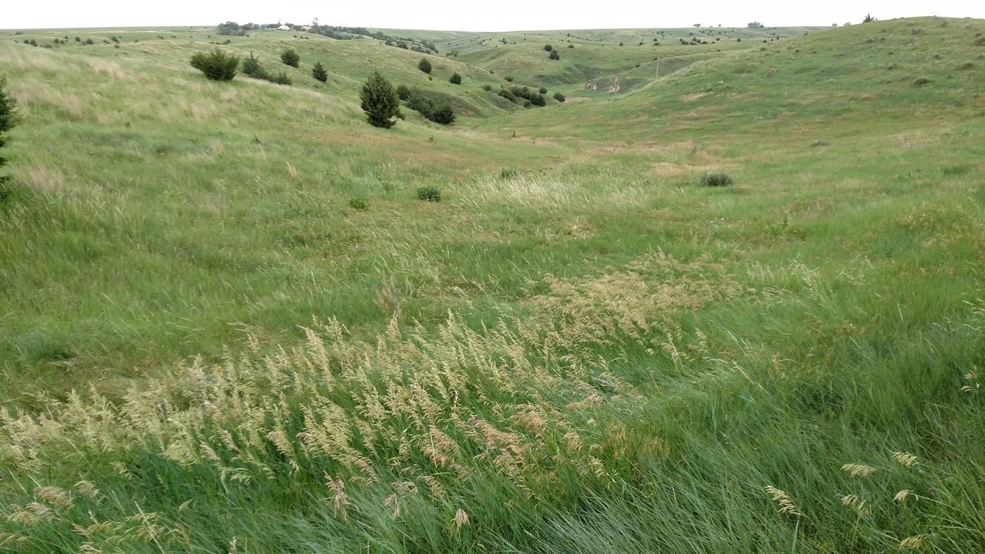 768 acres in Farnam, NE, 69029 | LandWatch