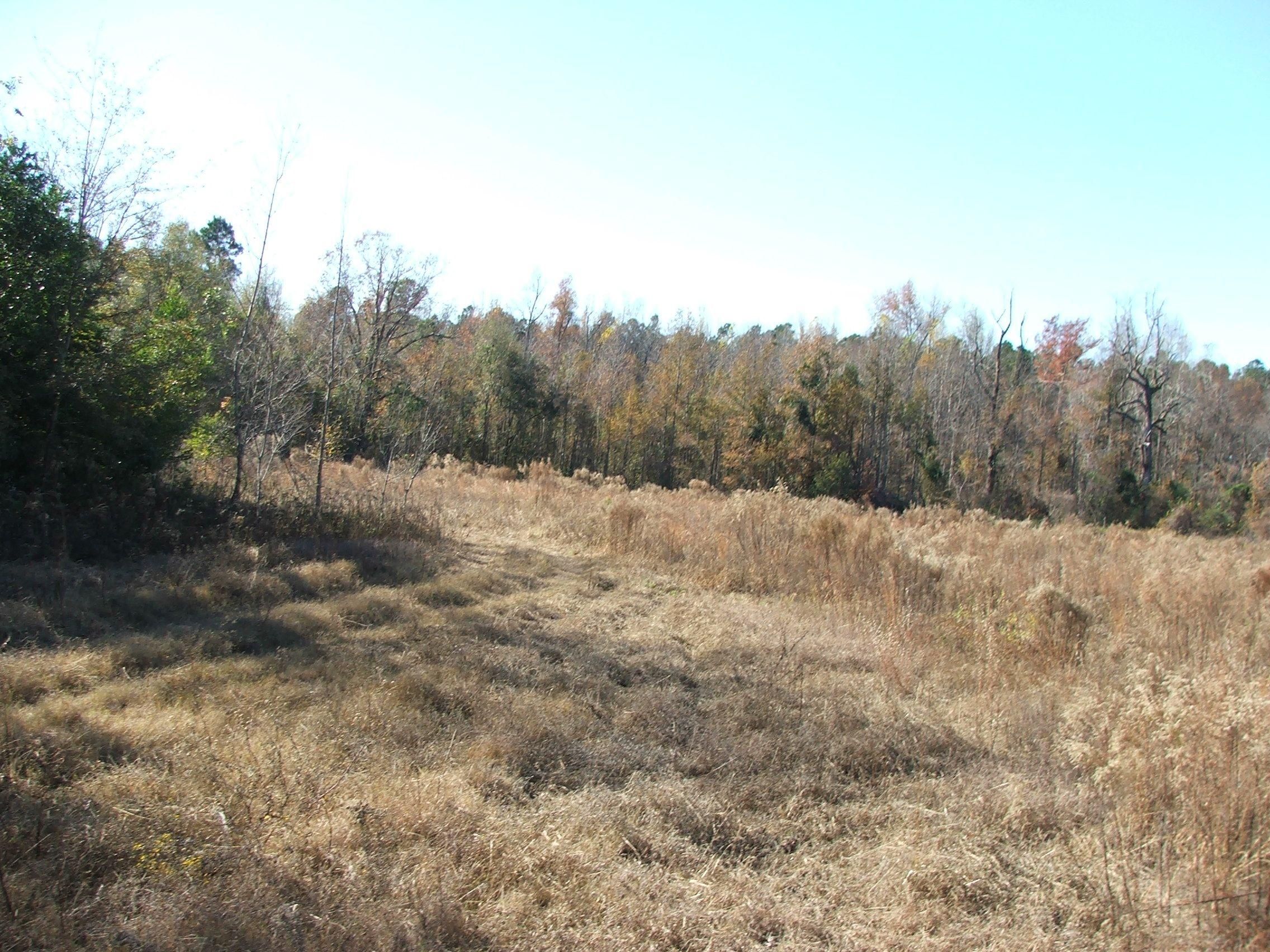 1190 Williston Way, Elko, SC 29826 | LandWatch