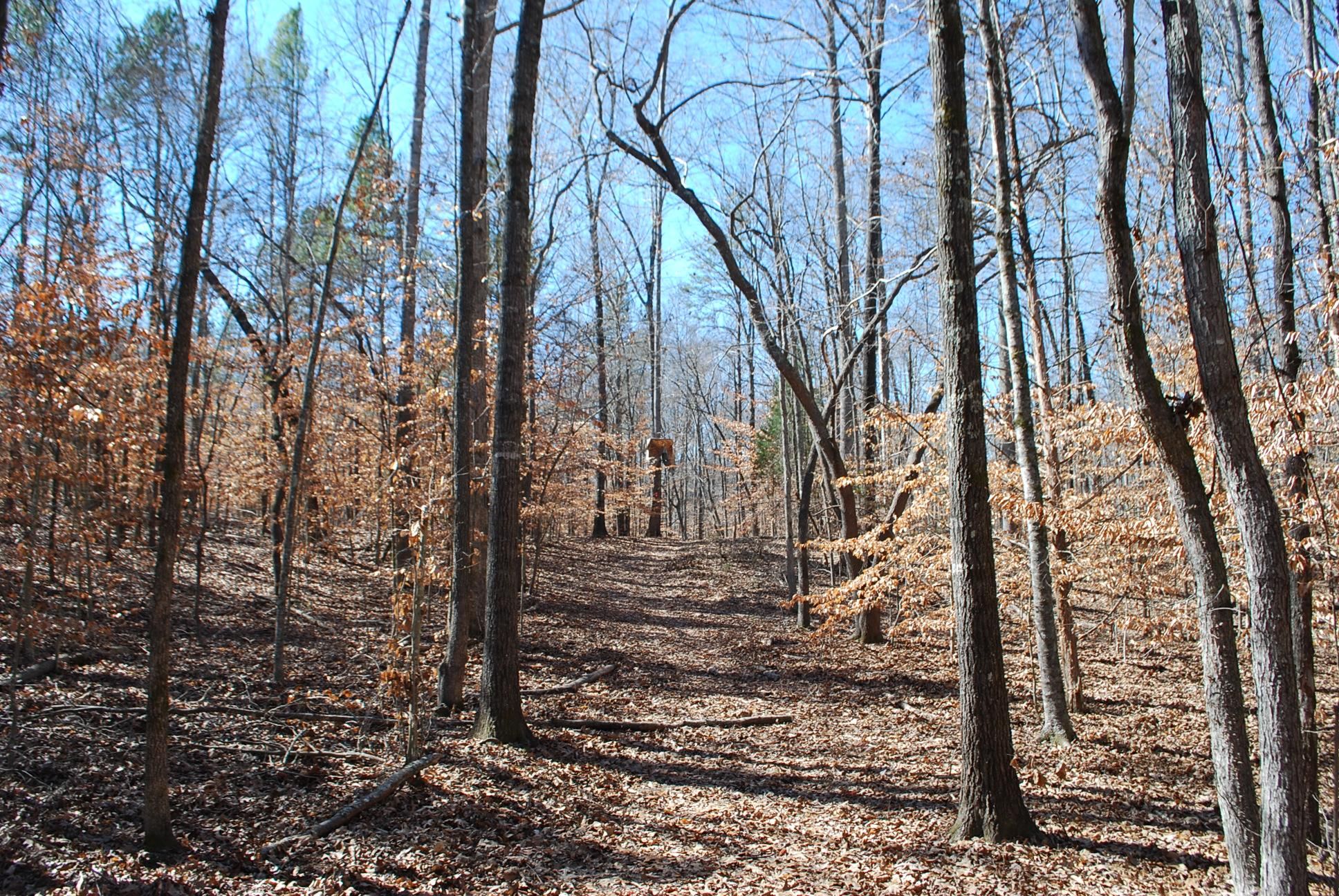 Buffalo, Union County, SC Recreational Property, Timberland Property ...