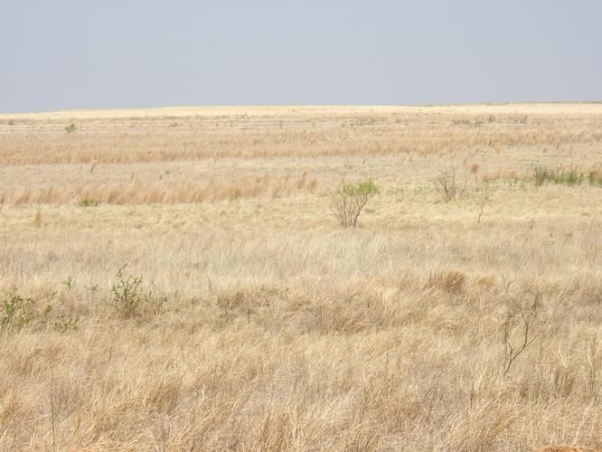 987 County road 261, McCaulley, TX 79534 | LandWatch