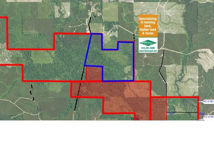 Hwy. 499, Chatham, LA 71226 | LandWatch