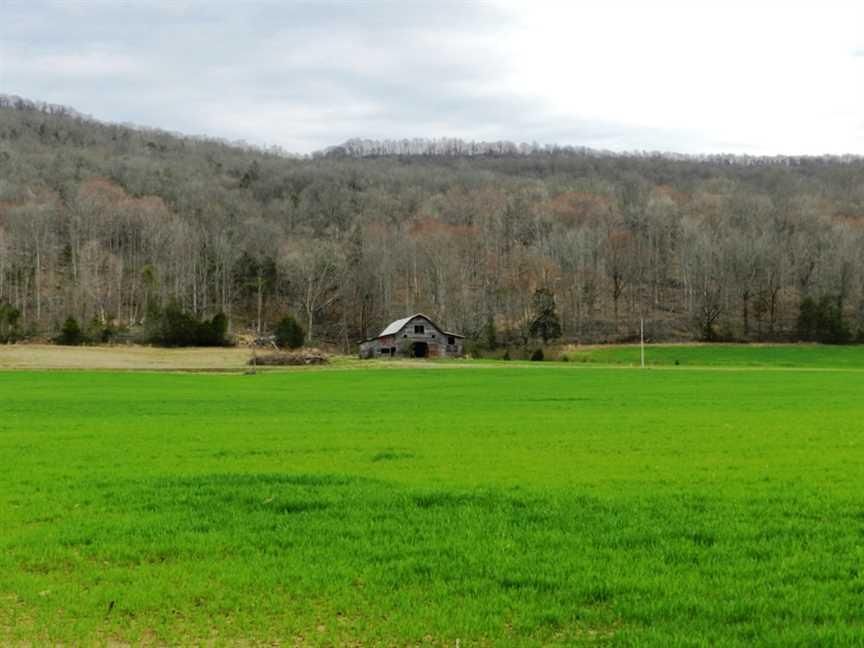 308 acres in Princeton, AL, 35766 | LandWatch