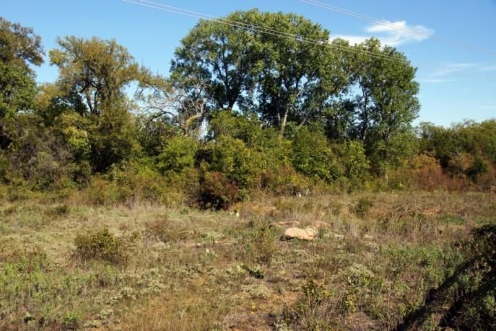 56 acres in Whitt, TX, | LandWatch