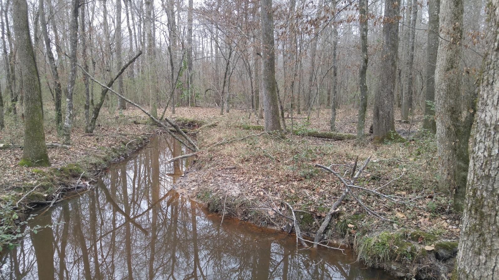 Perla, Hot Spring County, AR Timberland Property for sale Property ID ...