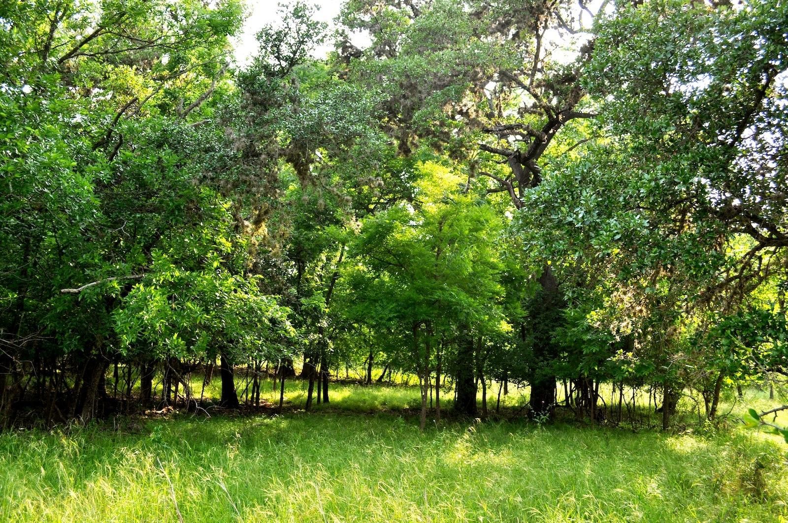 Vanderpool, Bandera County, TX Recreational Property, Riverfront ...