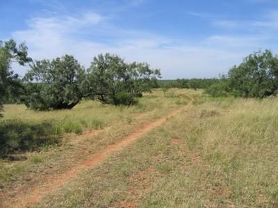, Rotan, TX | LandWatch