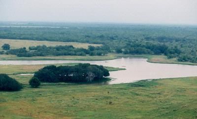 FM 119, Gillett, TX | LandWatch