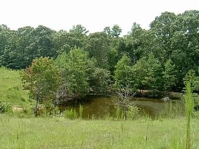 County Road 79, Mellow Valley, AL | LandWatch