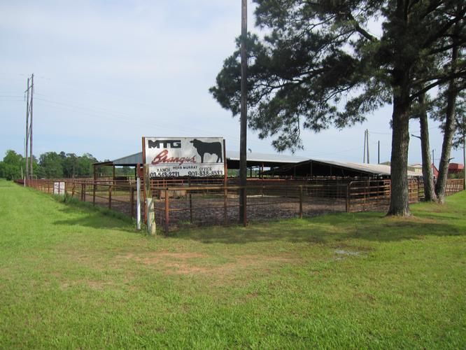 Hwy 67, Simms, TX 75574 | LandWatch