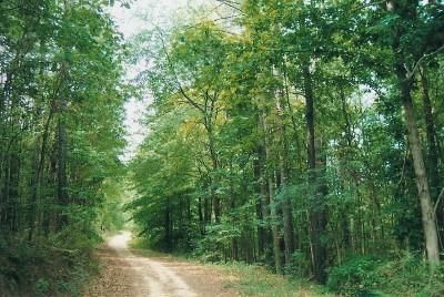 , Morganville, GA | LandWatch