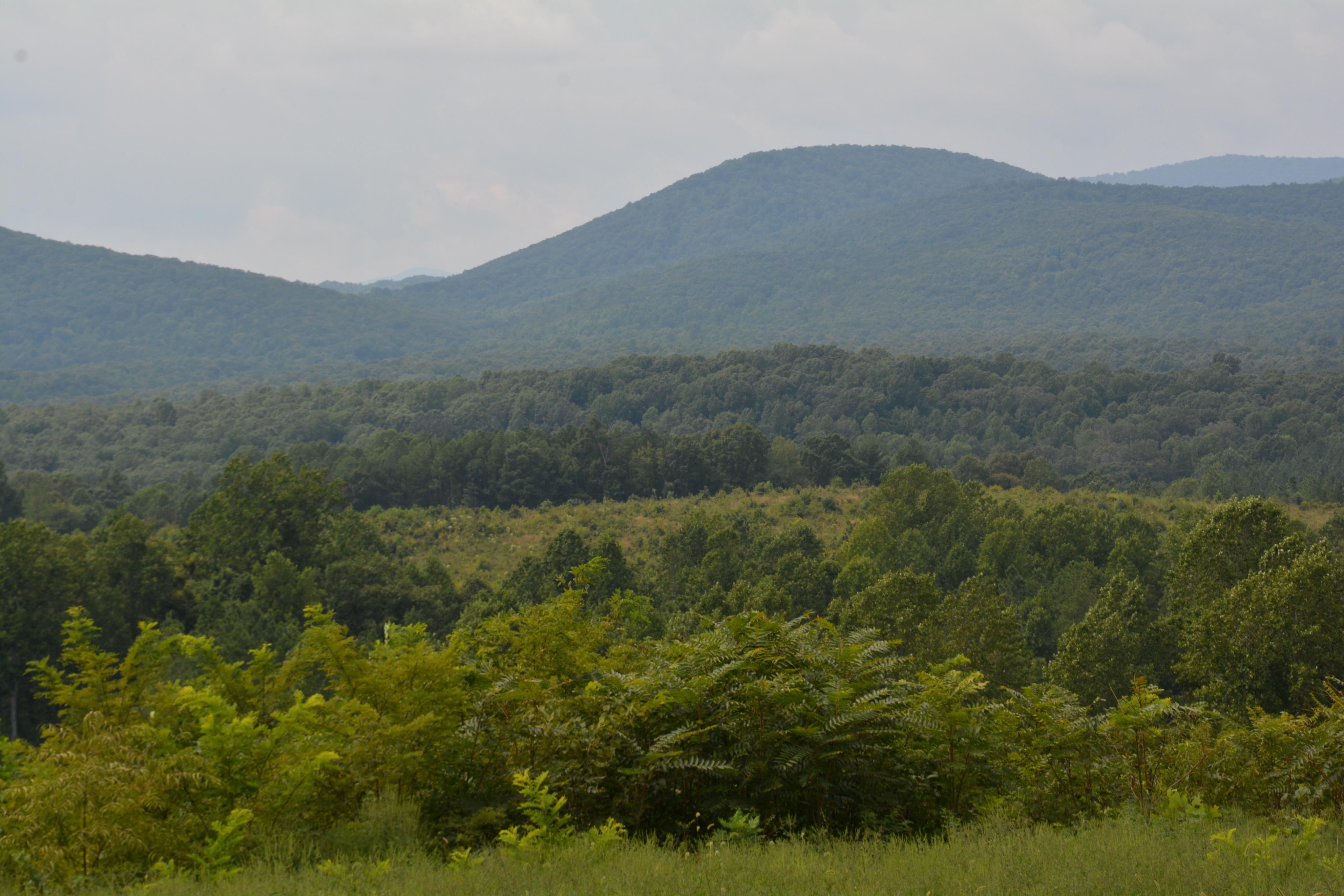 393 Redbud Lane, Wingina, VA 24599 | LandWatch