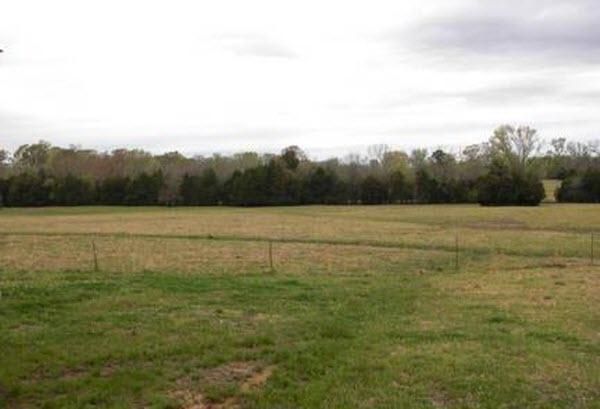 8266 Co Rd 109, Safford, AL 36773 | LandWatch