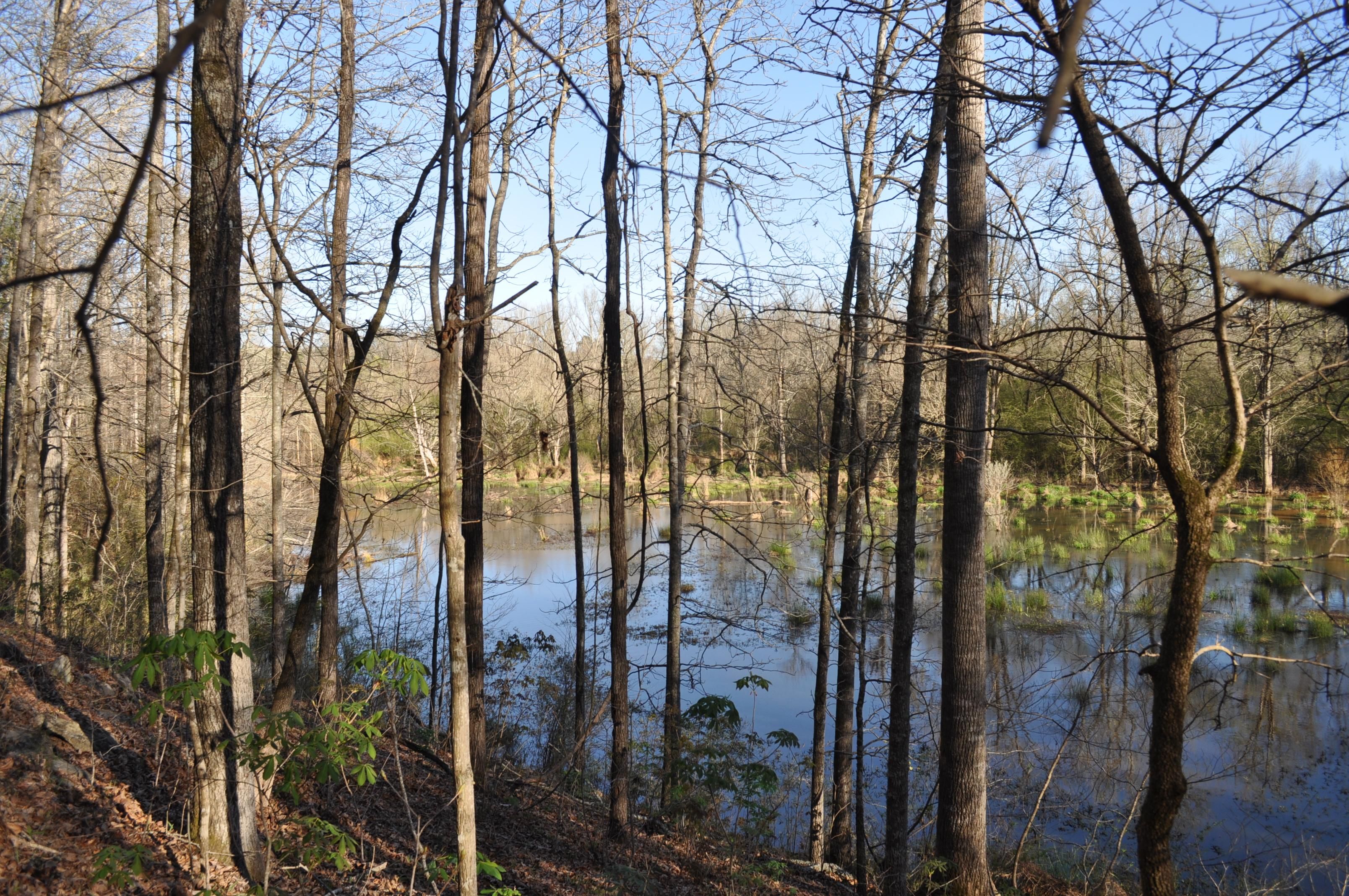 105.62 acres in Carlton, GA, 30627 | LandWatch