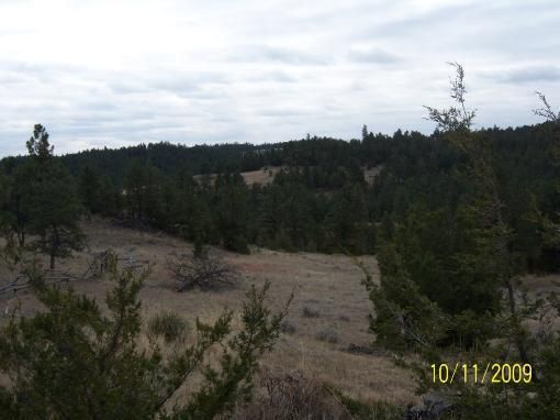 38.93 acres in Mosby, MT, | LandWatch
