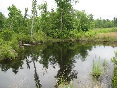 Ratcliff, Houston County, TX Farms and Ranches for sale Property ID ...