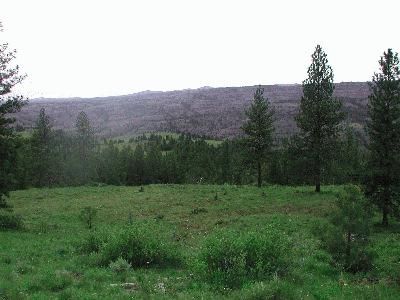 , Ritter, OR | LandWatch