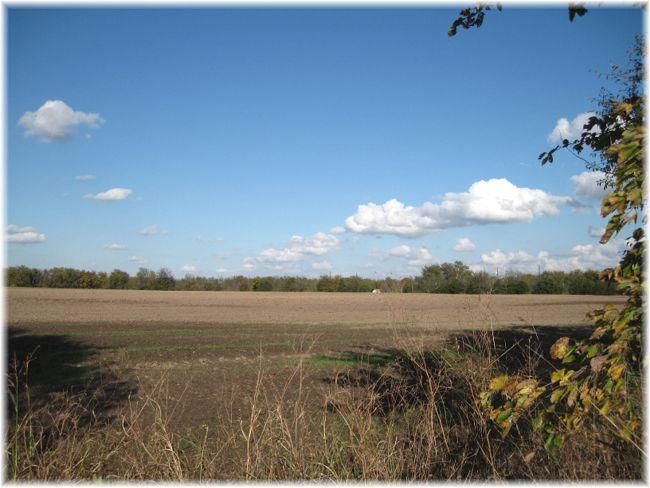 9999 Hwy 11, Randolph, TX 75491 | LandWatch