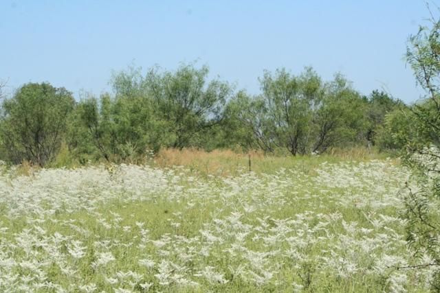 142.8 acres in Afton, TX, 79220 | LandWatch