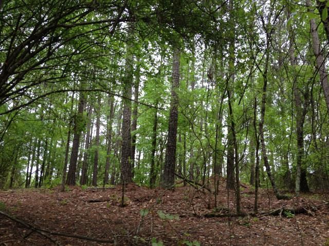 Tommy Lee Cook Rd., Palmetto, GA 30268 | LandWatch