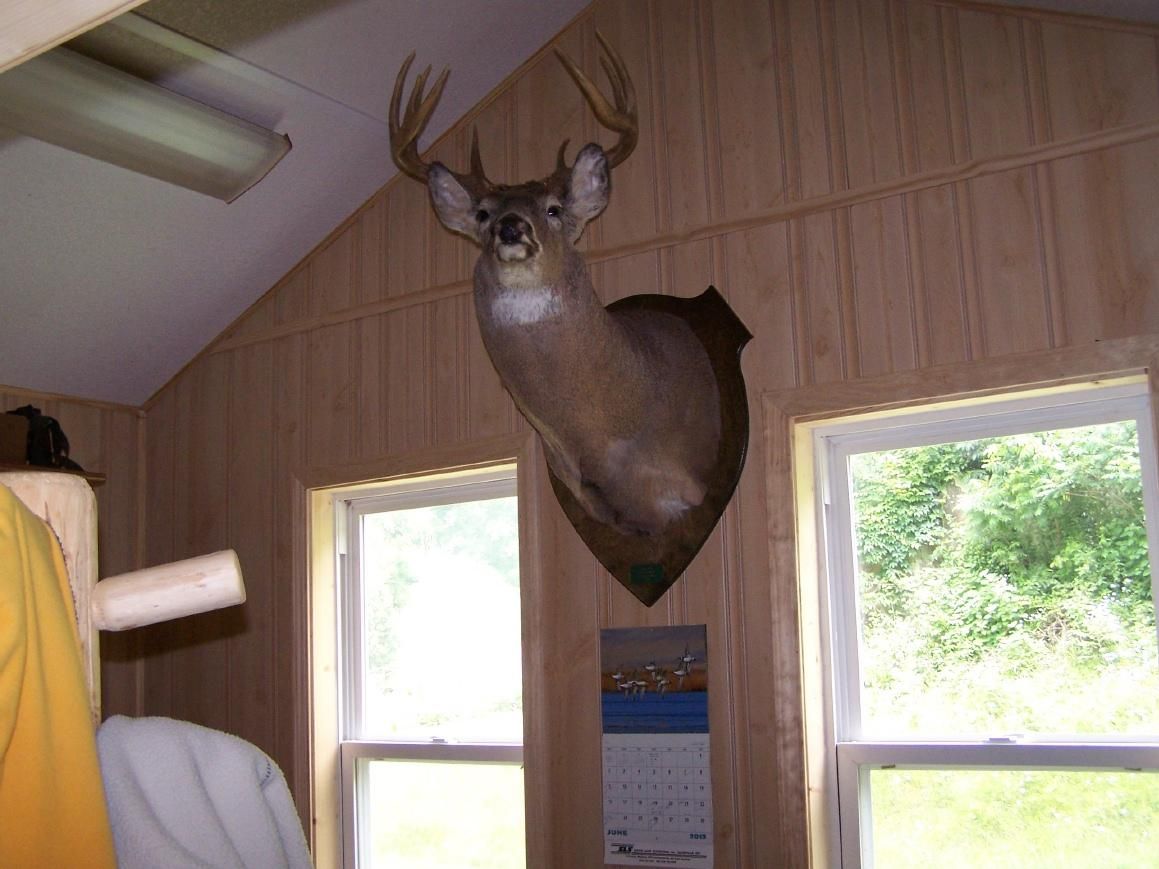 4282 AMMA ROAD, Amma, WV 25005 | LandWatch