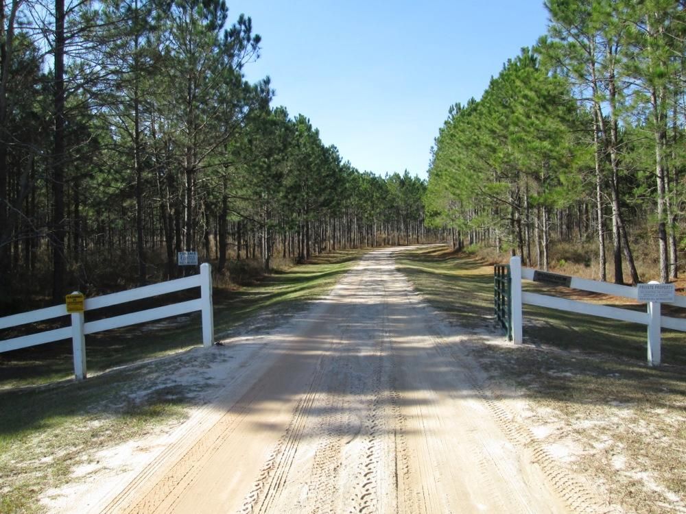 Blackshear, Pierce County, GA Farms and Ranches for sale Property ID ...