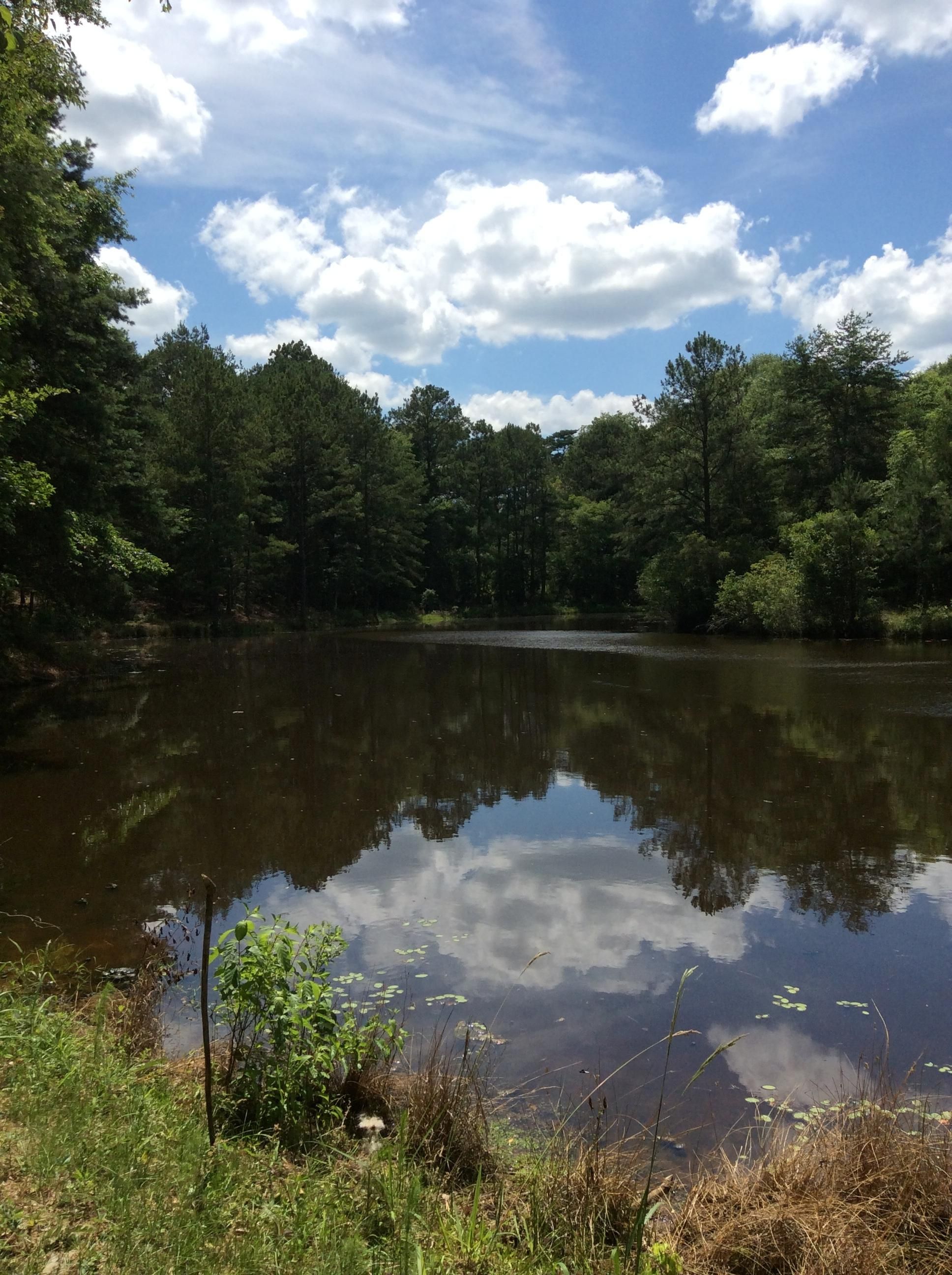 67 acres in Evergreen, AL, 36401 | LandWatch