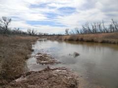 CR 463, Sagerton, TX 76567 | LandWatch