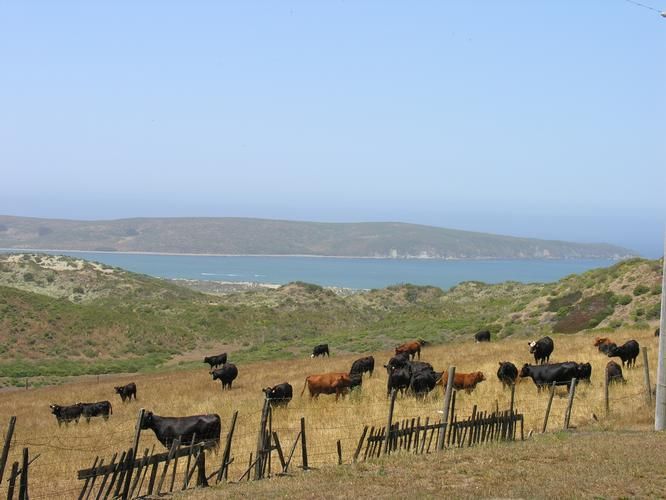 3599 Dillon Beach Road, Tomales, CA 94971 | LandWatch