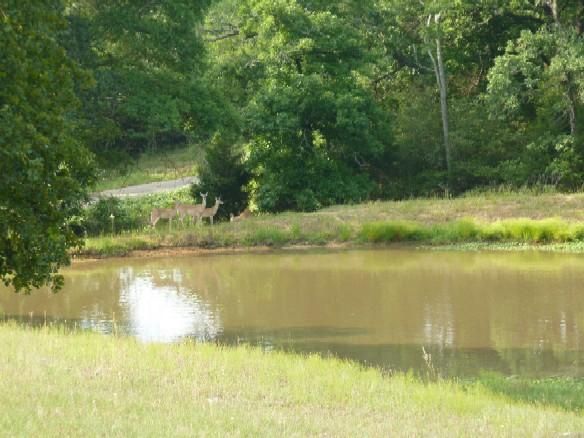 102 FCR 421, Dew, TX 75860 | LandWatch