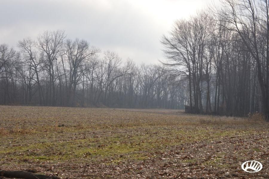 County Road P, Edon, OH 43518 | LandWatch