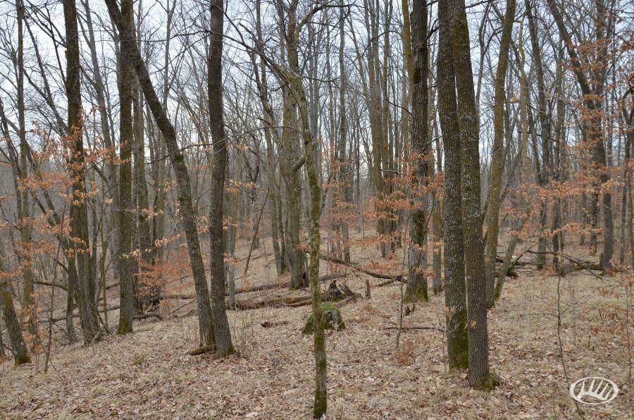 Detroit Lakes, Becker County, MN Farms and Ranches for sale Property ID ...