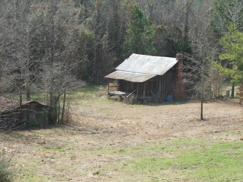 County Road 10, Sprott, AL 36756 | LandWatch