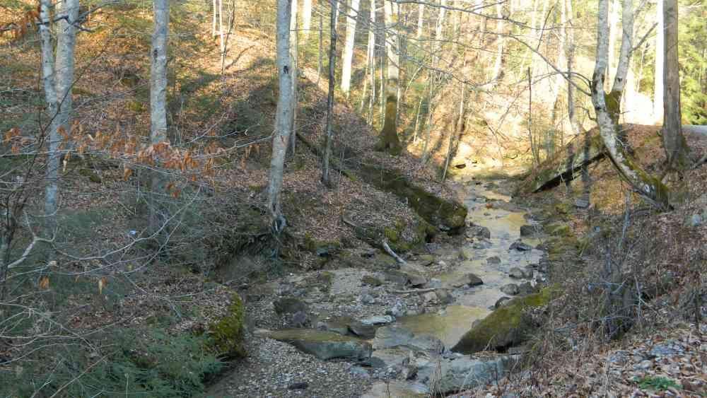 260 acres in Confluence, KY, 41730 | LandWatch