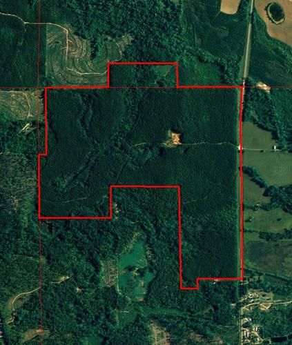 Hwy. 31, Castleberry, AL 36432 | LandWatch