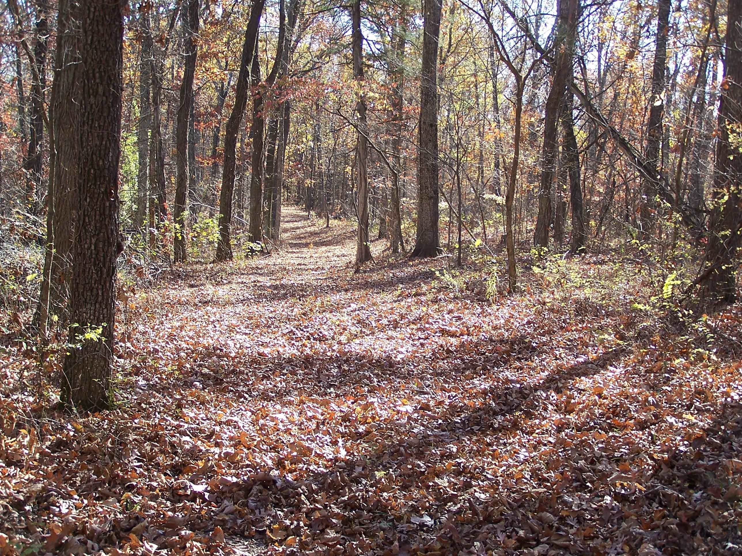 20 acres in Uniontown, MO, 63783 | LandWatch