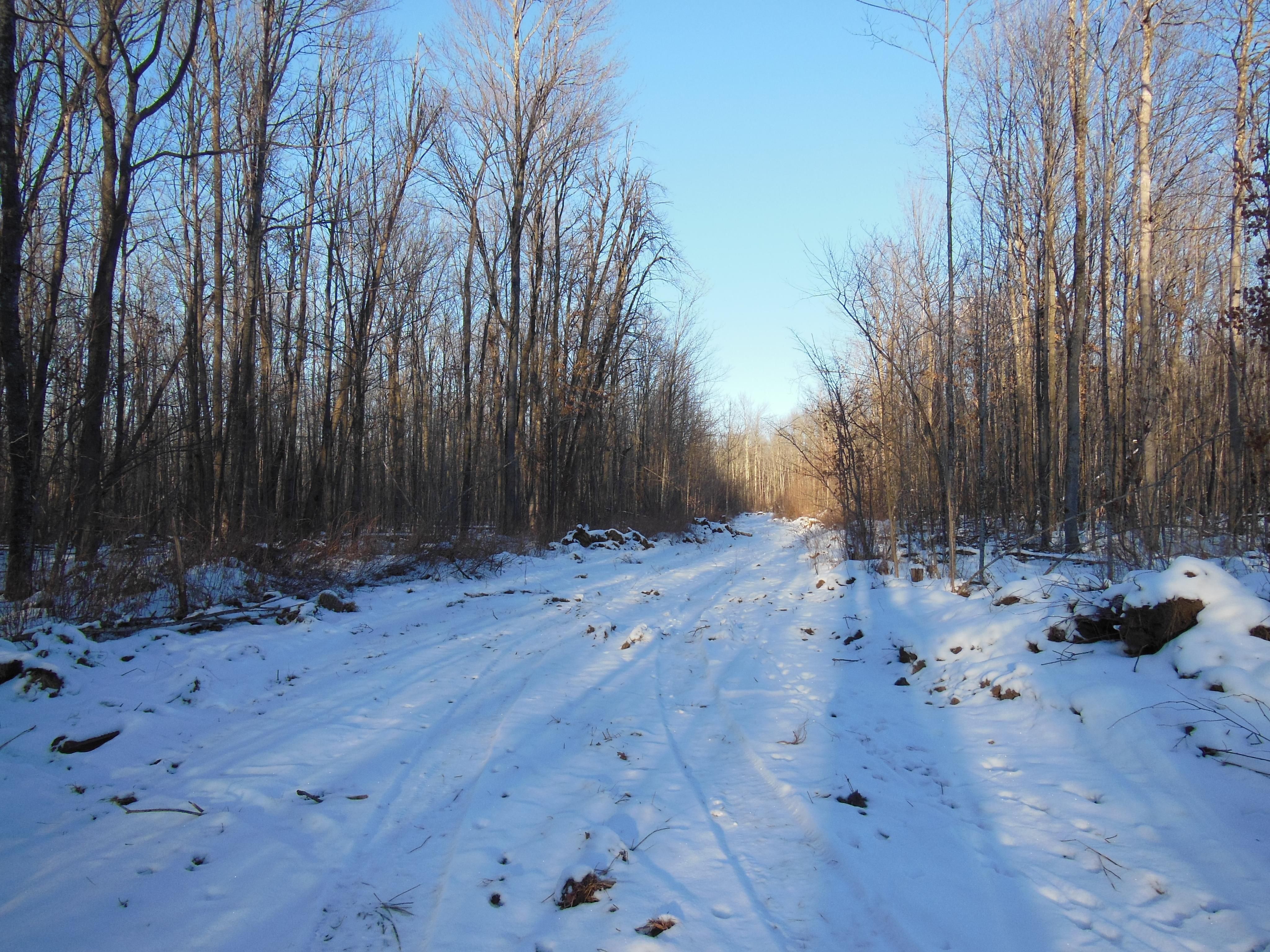 Timber Road, Catawba, WI 54515 | LandWatch