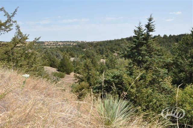 43275 Cedar Lake Road, Anselmo, NE 68813 | LandWatch