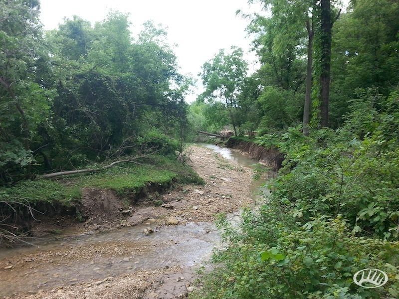 Edgewood, Clayton County, IA Farms and Ranches for sale Property ID ...