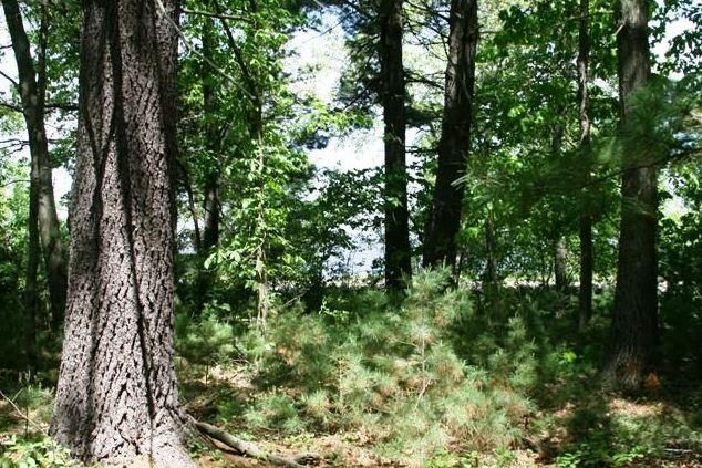 3 acres in Monroe Center, WI, 54613 | LandWatch