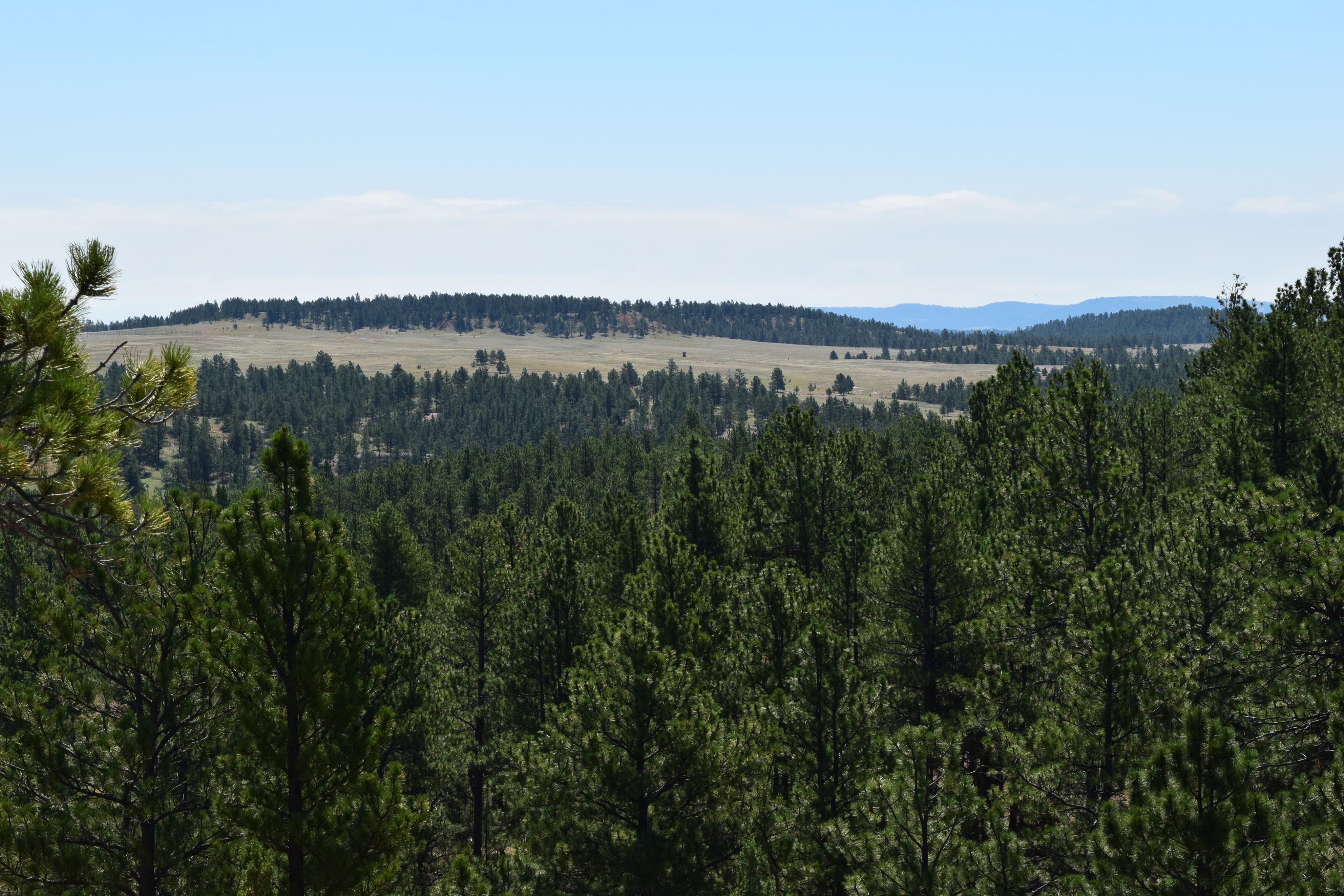 26699 Remington Rd, Custer, SD 57730 | LandWatch